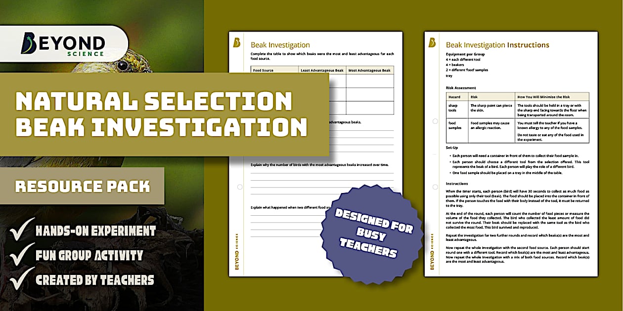 Natural Selection Beak Investigation | Beyond Science