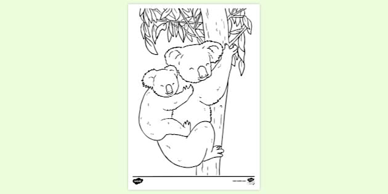 Two Koalas Colouring | Colouring Sheets - Twinkl