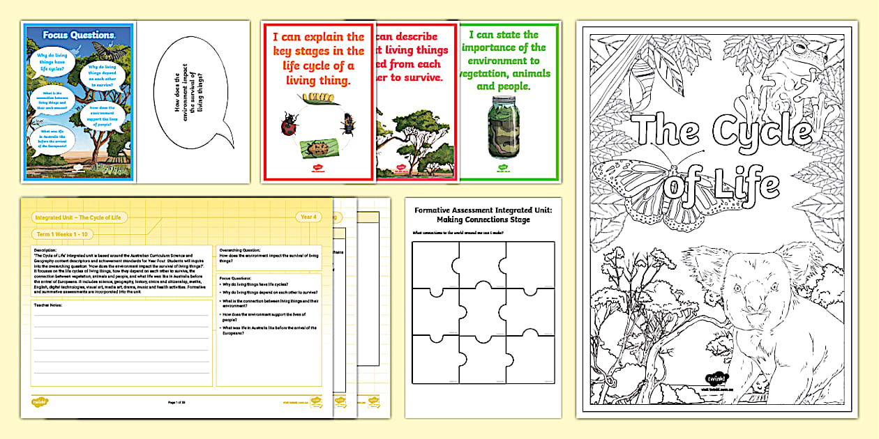 The Cycle of Life Yr 4 IU Display Pack (Teacher-Made)