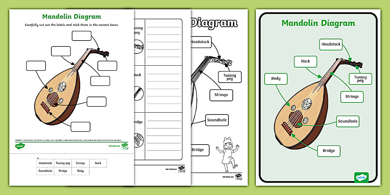 👉 Mandolin Diagram Activity Pack (teacher made) - Twinkl