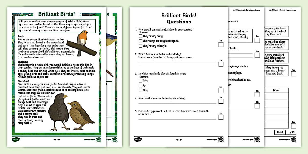 Year 4&5 Reading Test Resources- Worksheets (teacher made)