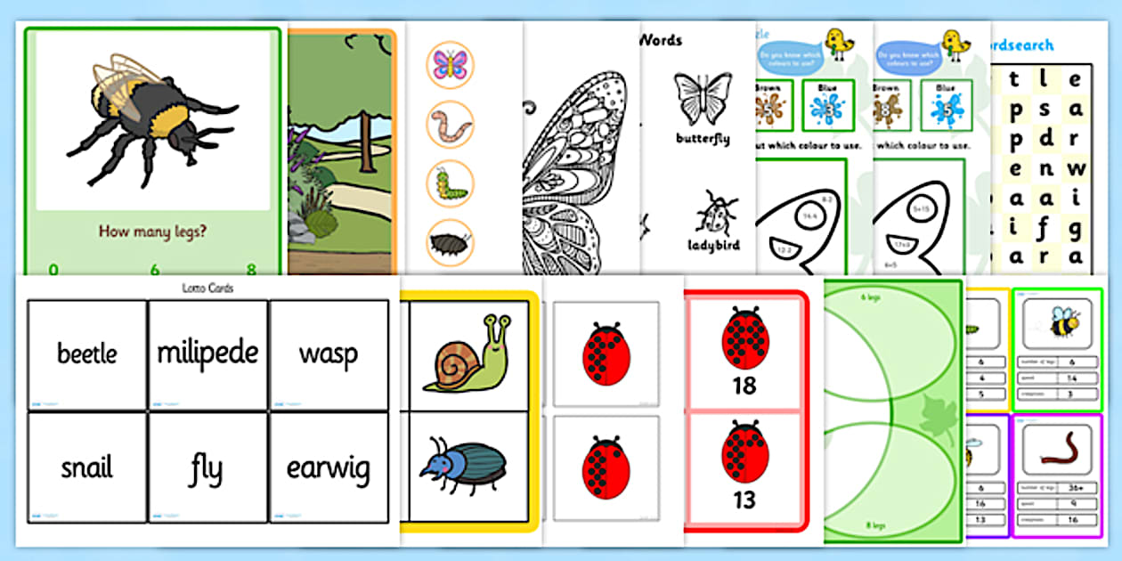 Top Ten Minibeast Activity Pack-Australia (teacher made)