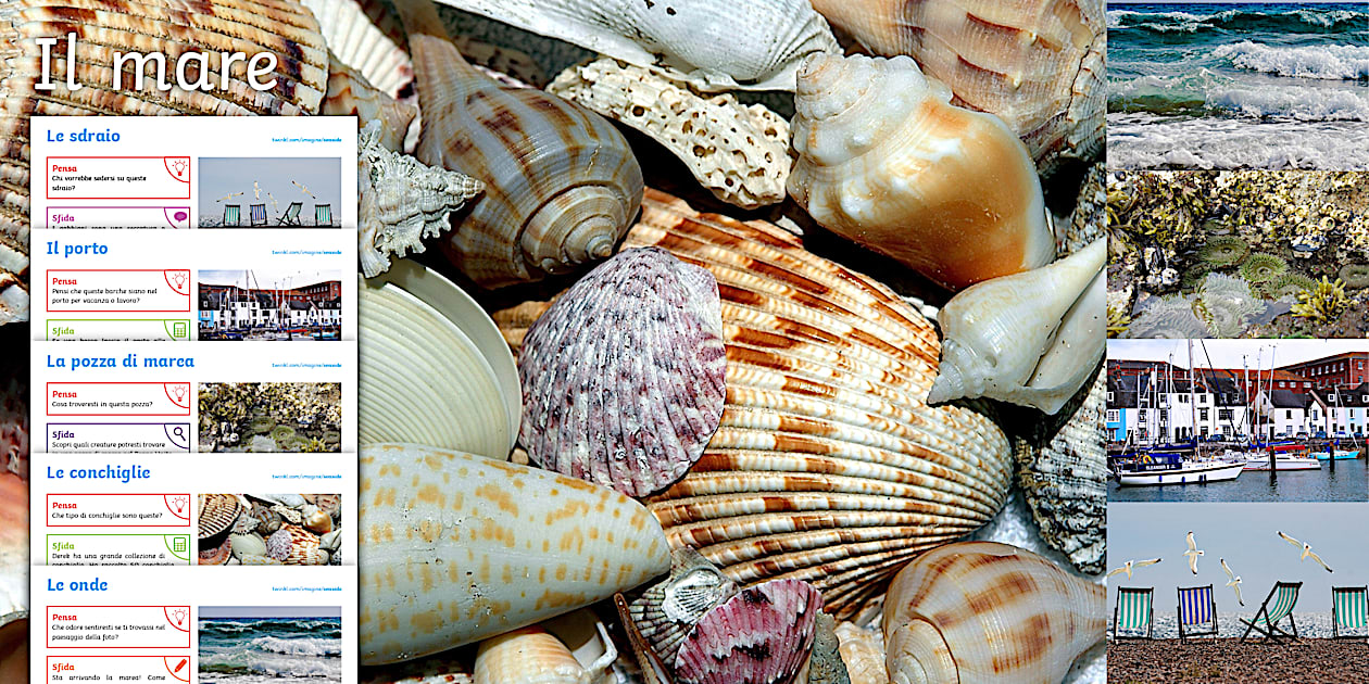 Imagine Seaside KS1 Resource Pack Italian - Twinkl