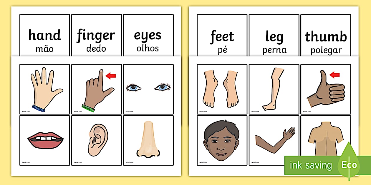 Parts Of The Body Word and Picture Matching Cards English/Portuguese ...