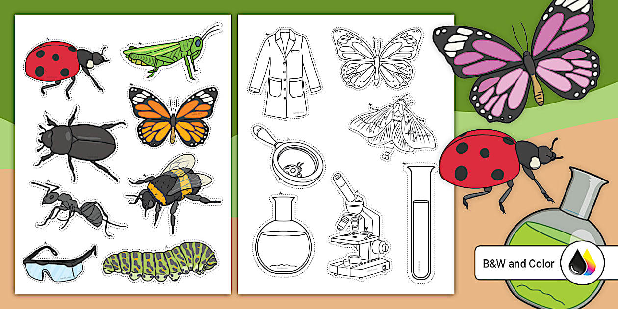 Entomology Lab Dramatic Play Cutouts (Teacher-Made) - Twinkl