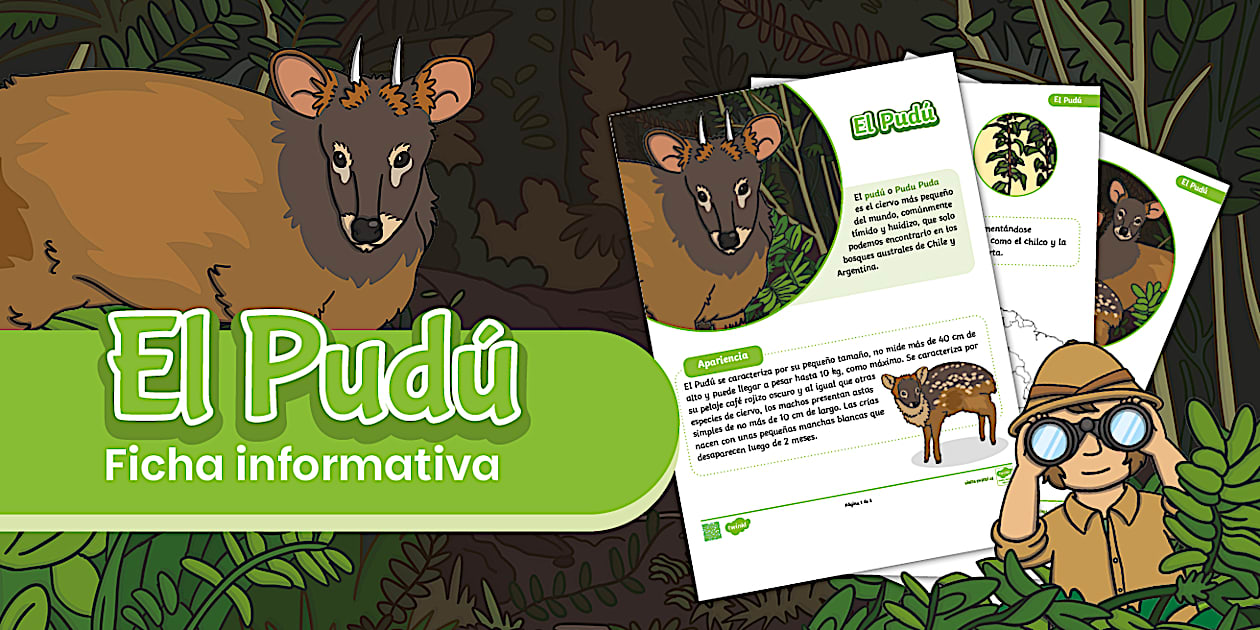Ficha Informativa | Pudú | Fauna Chilena (teacher made)