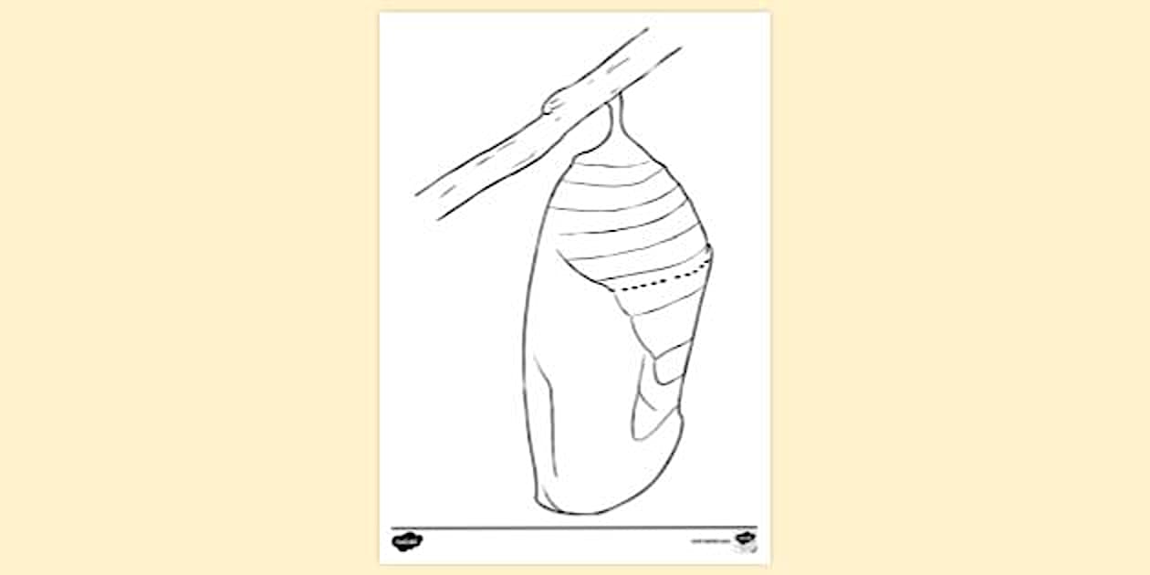 Chrysalis Colouring Sheet | Colouring Sheets (teacher made)