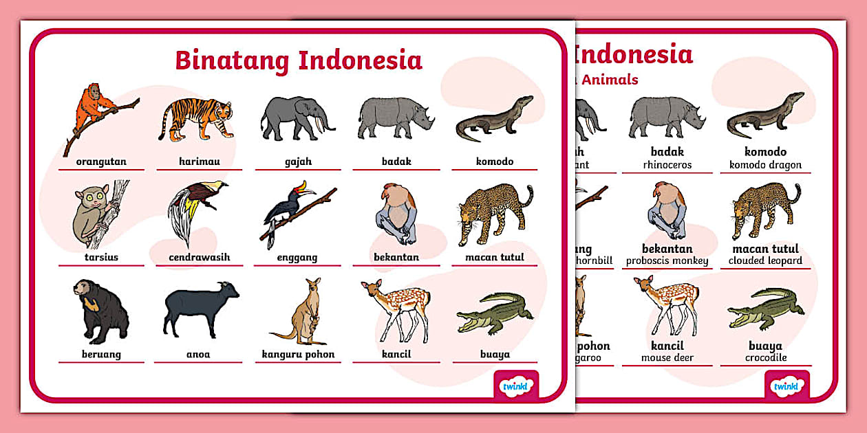 Indonesian Animals Word Mat (Teacher-Made) - Twinkl