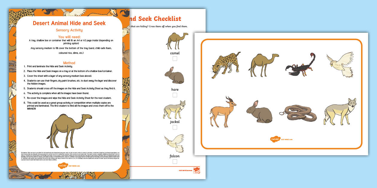 Desert Animals 'Hide and Seek' Sensory Activity