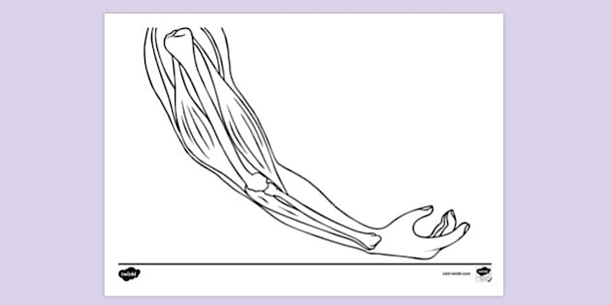 Relaxed Arm Colouring | Colouring Sheets (teacher made)