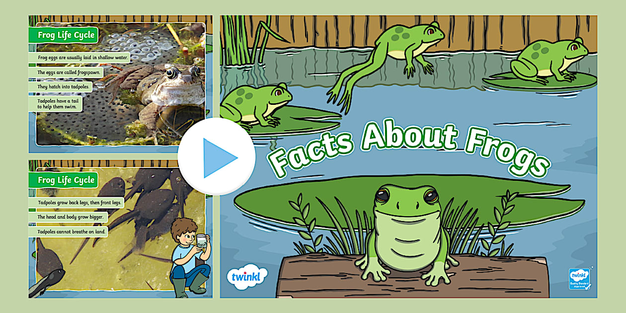 Facts About Frogs PowerPoint - KS1 - Twinkl