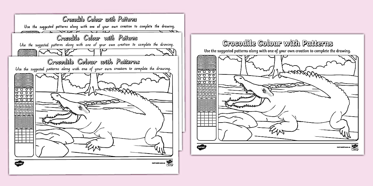Crocodile Colour with Patterns Activity (teacher made)