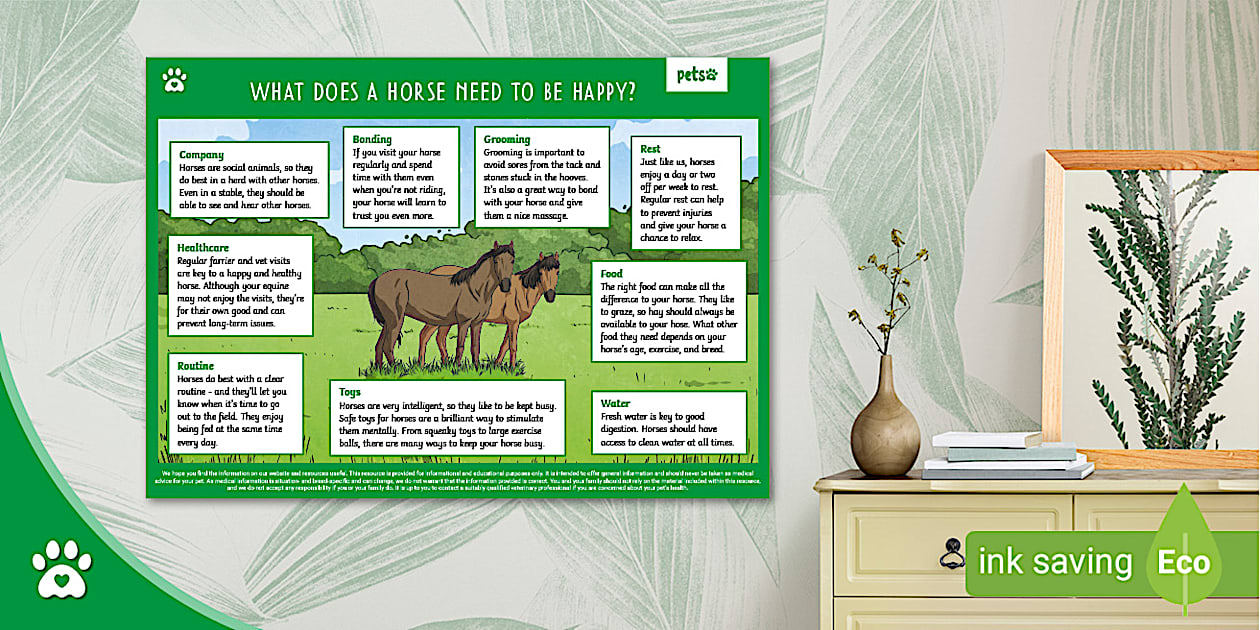 What Does a Horse Need to Be Happy? - Infographic - Twinkl