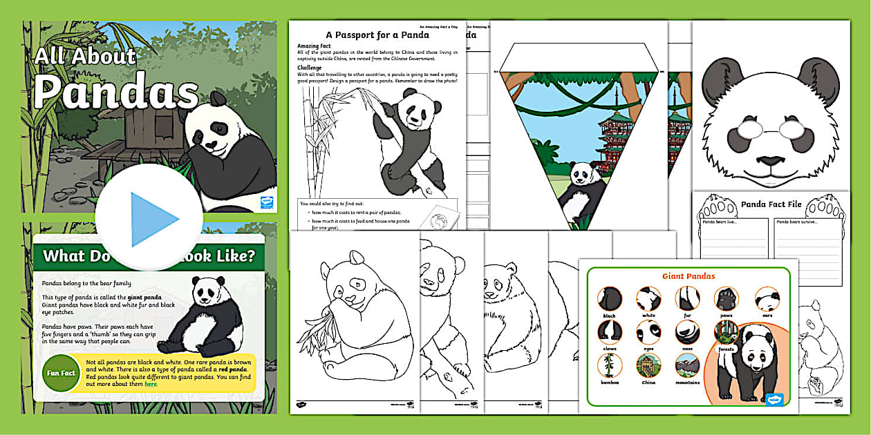 Panda Pack F-2 (صُمم من قبل مُختصّين)