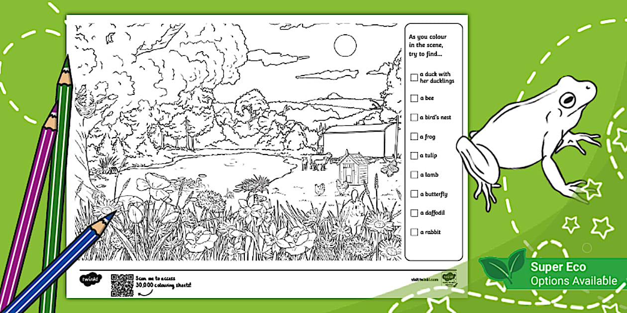 Spring Colouring Scene (teacher made) - Twinkl