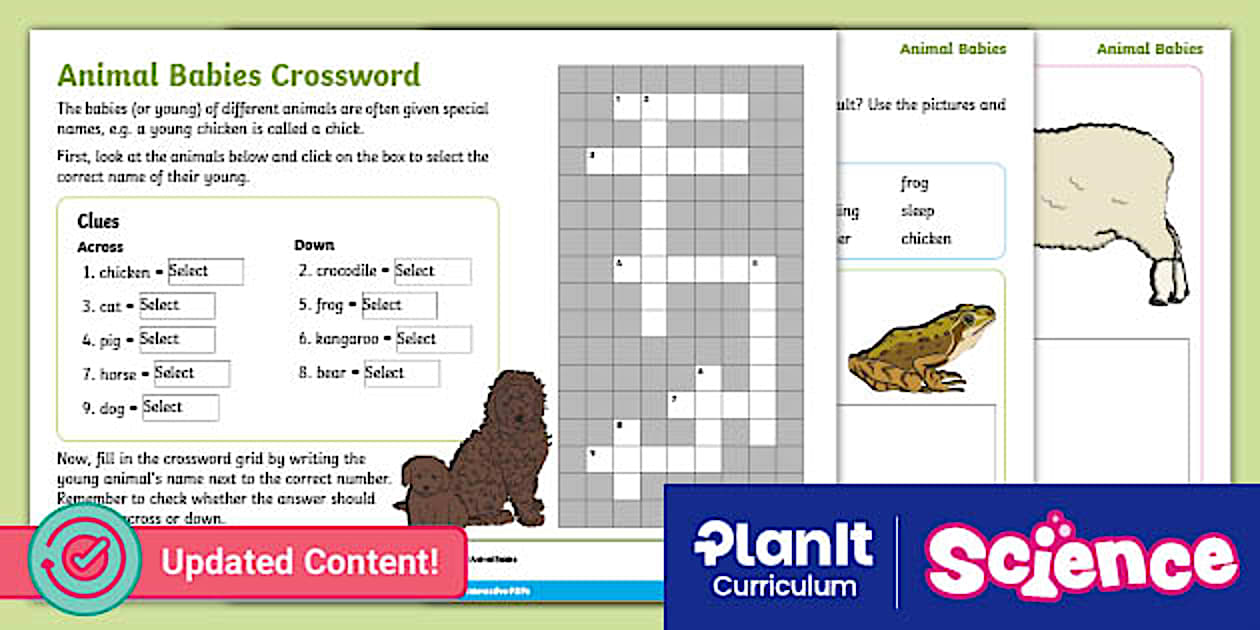 Year 2 Science Home Learning Resource: Animal Babies