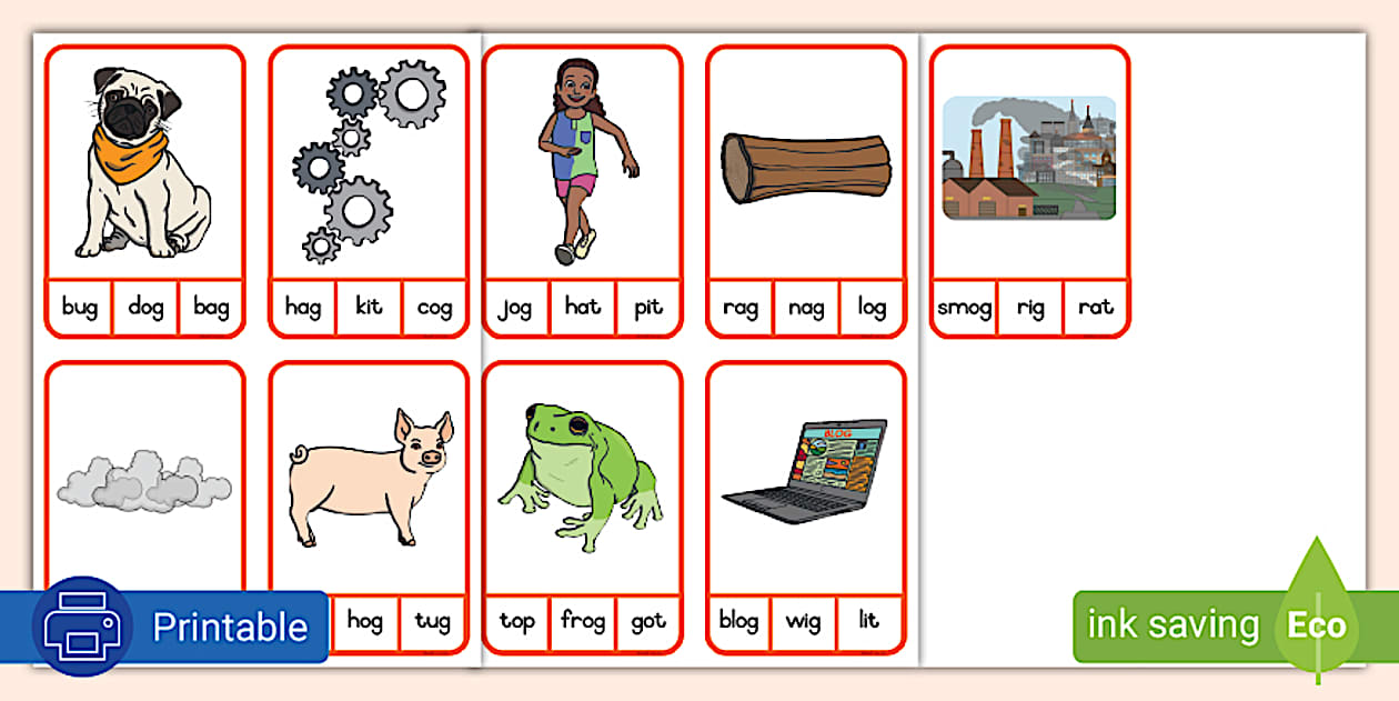 Grade 1 Phonics: -og Sound Peg Card Activity (teacher made)