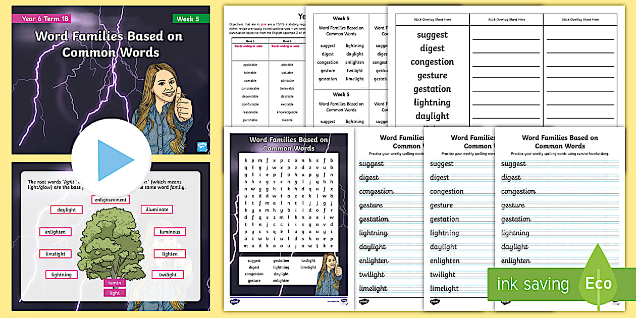 Year 6 Term 1B Week 5 Spelling Pack (professor feito)