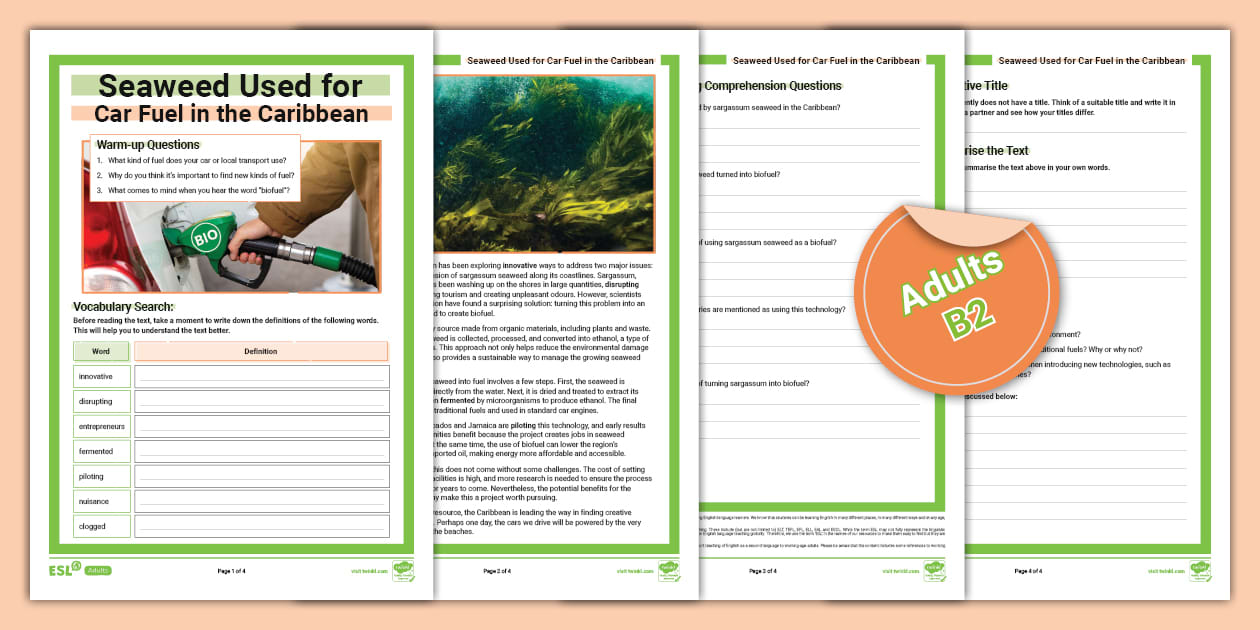 ESL Seaweed Used for Car Fuel in the Caribbean [Adults, B2]