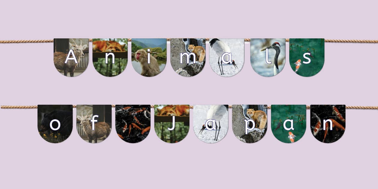 Animals of Japan Photo Display Bunting (teacher made)