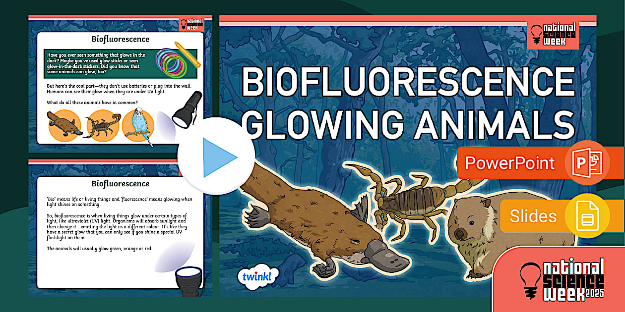 Biofluorescence PowerPoint (teacher made) - Twinkl