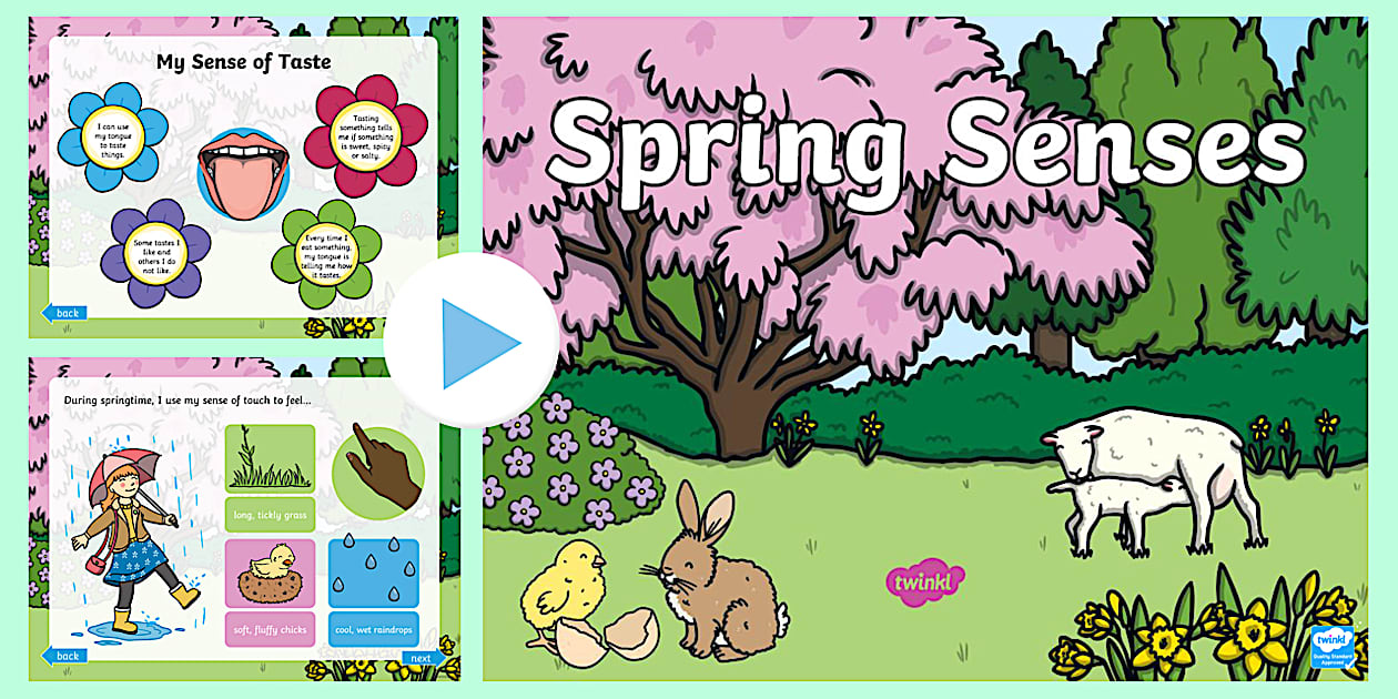 EYFS Spring Senses PowerPoint Resource for Young Children