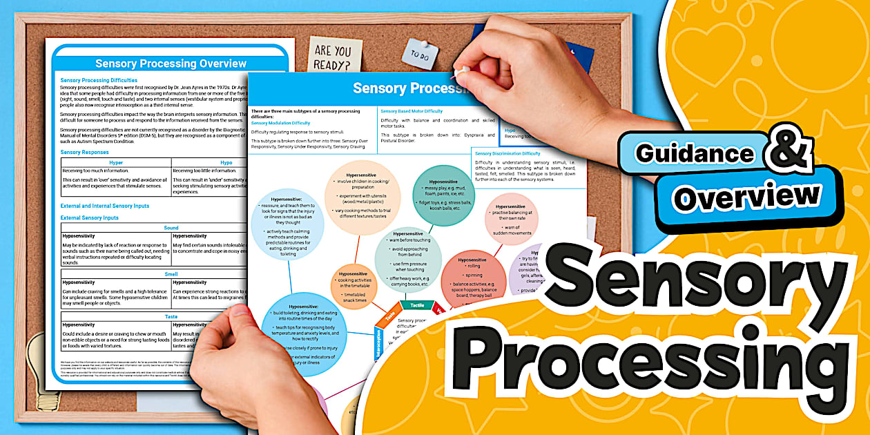 Sensory Processing Guidance & Overview