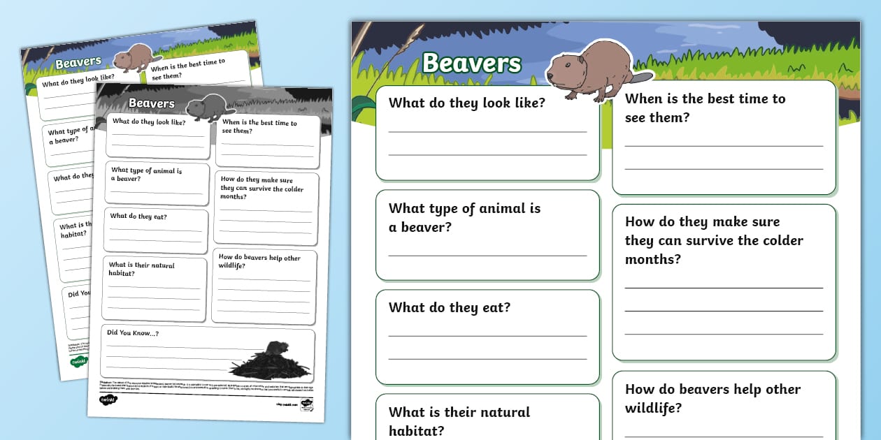 Beavers Fact File Template (Teacher-Made) - Twinkl