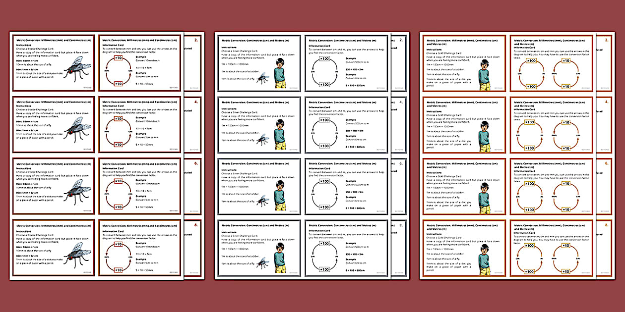 Length Conversion Question Cards (teacher made) - Twinkl