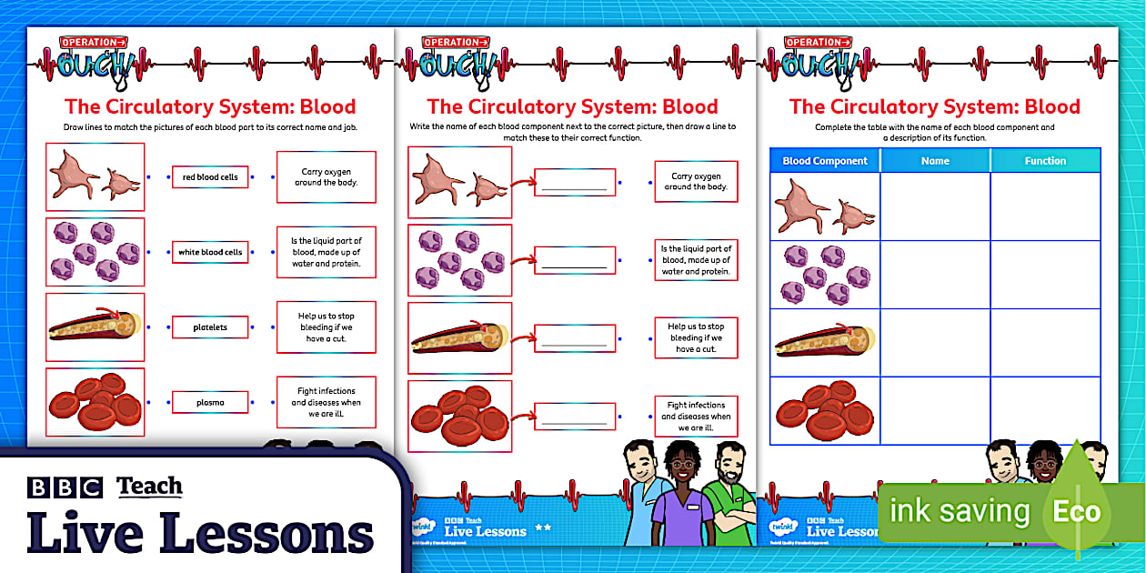 FREE! - BBC Live Lesson: Operation Ouch! Blood Activity Sheets | KS2