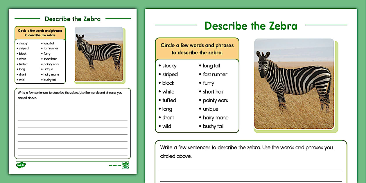 Describe the Zebra Worksheet (teacher made) - Twinkl
