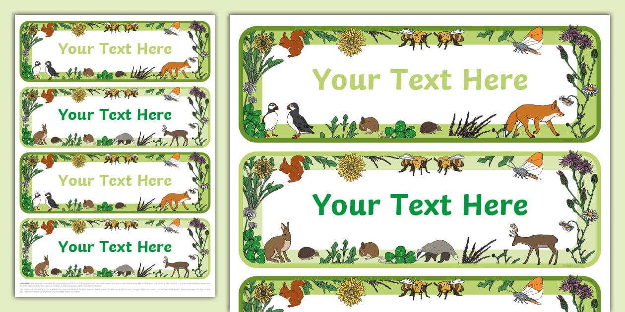 Ireland Flora and Fauna Editable Drawer Labels - Twinkl