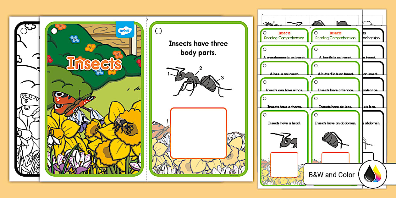 Insects Adapted Reader for Special Education - Twinkl