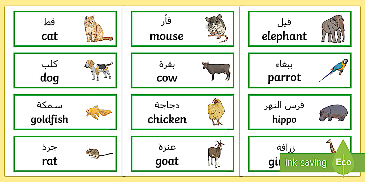 Animals Word Cards Spanish Arabic/English - Twinkl