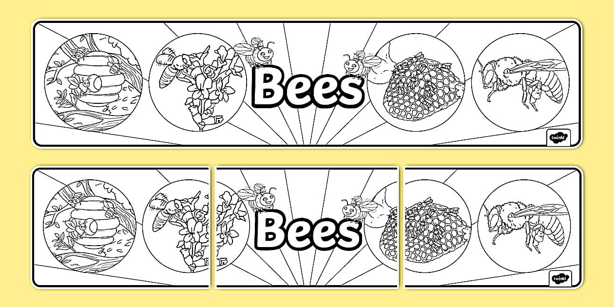 Bee Colouring Display Banner (Teacher-Made) - Twinkl