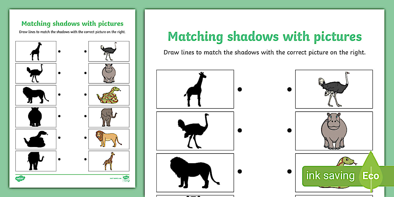 Safari-Themed Shadow Matching Activity Sheet - Twinkl