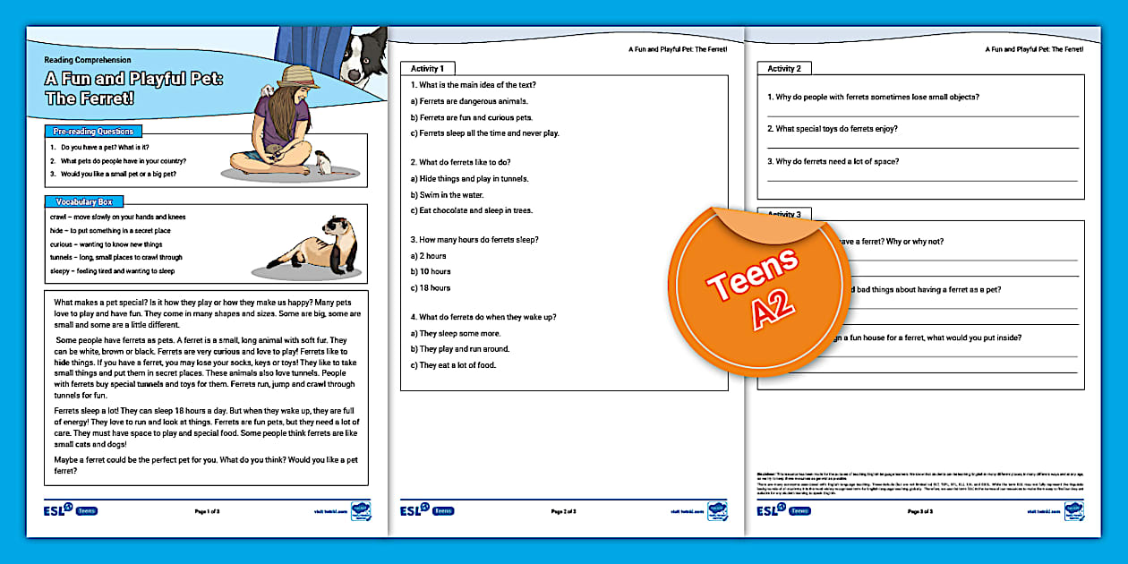 ESL Reading Comprehension: Fun Ferret Pets - Twinkl