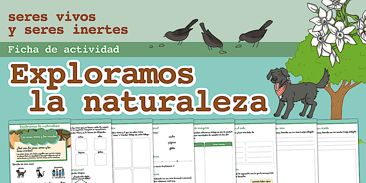 Ficha de actividad: Exploramos la naturaleza-seres vivos y seres inerte