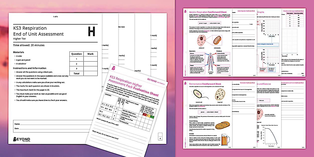 KS3 Respiration End of Unit Assessment Pack Higher