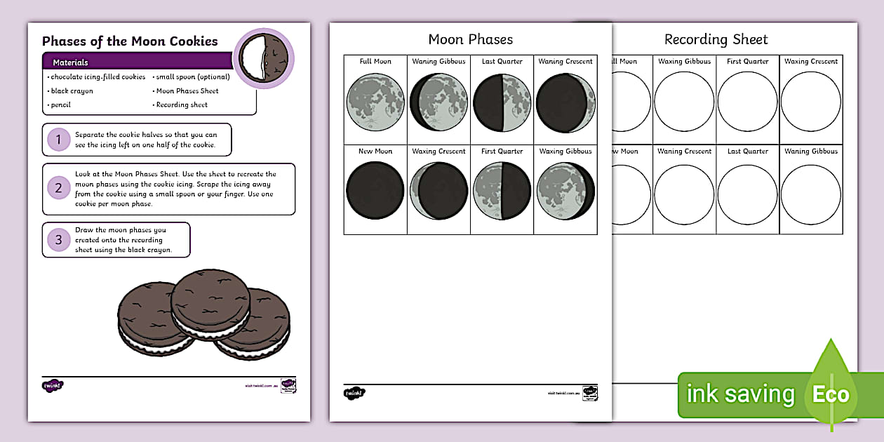 Phases of the Moon Activity | Southern Hemisphere - Twinkl