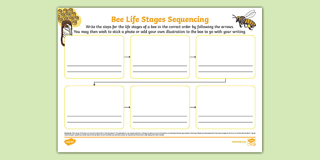 Bee Life Stages Sequencing Mind Map (teacher made) - Twinkl