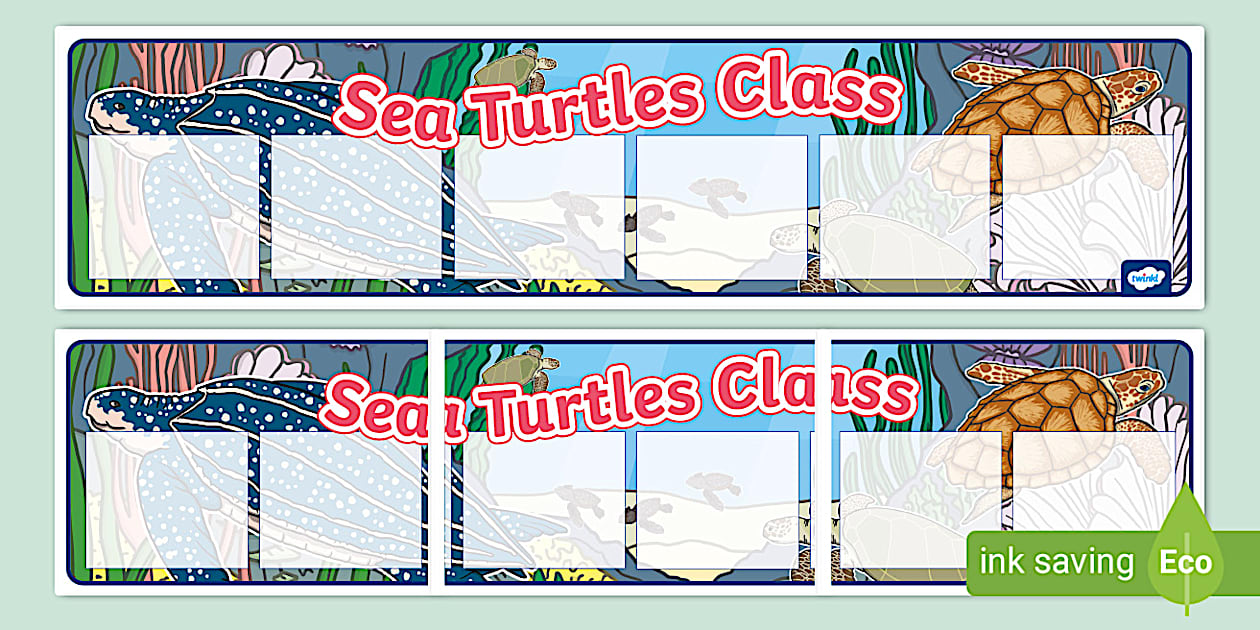 Sea Turtle Themed Visual Display Timetable (teacher made)