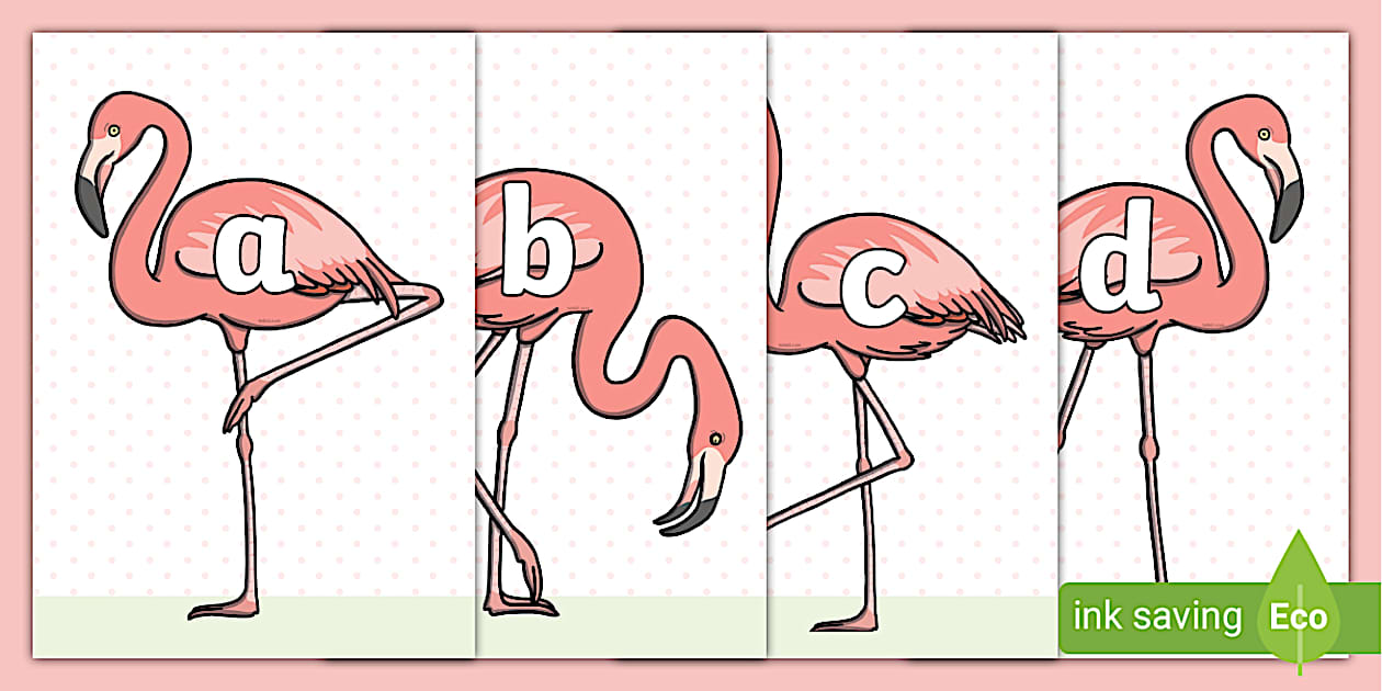 Flamingo Themed Literacy Display Cards - Alphabet Display