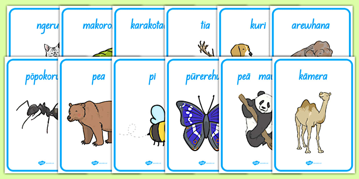 Animals Display Posters (teacher made) - Twinkl