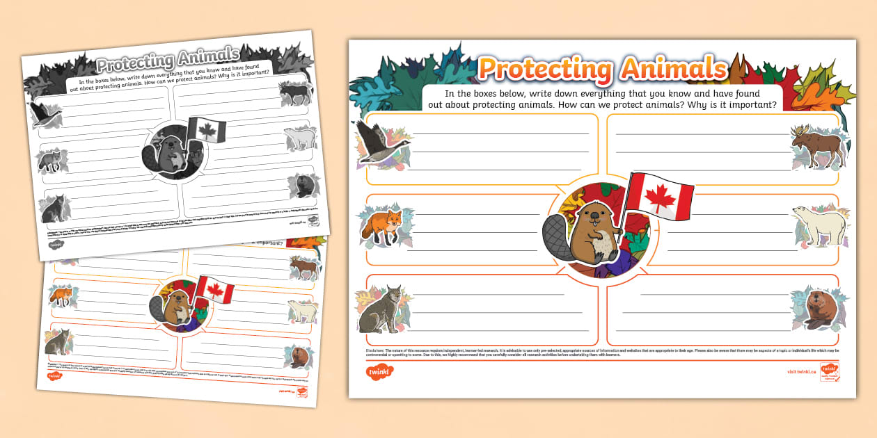 Protecting Animals Mind Map (teacher made) - Twinkl