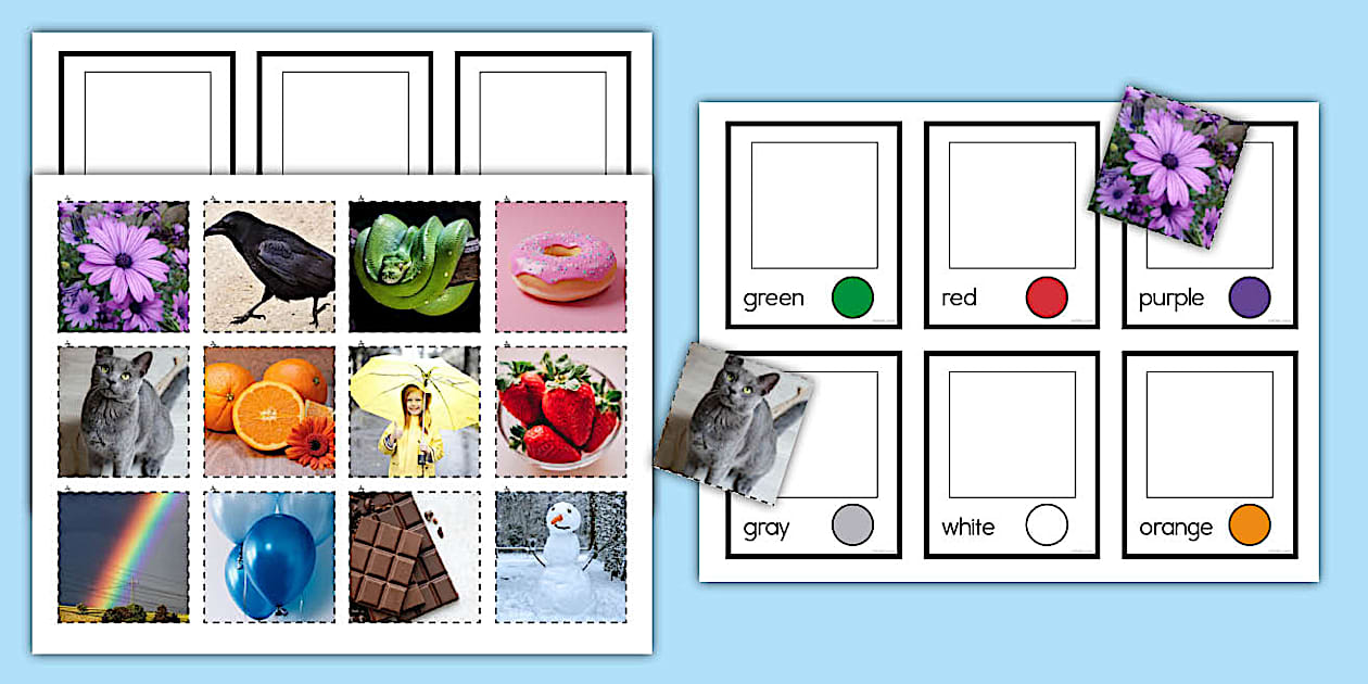 Color Matching With Photos Worksheet (teacher made) - Twinkl