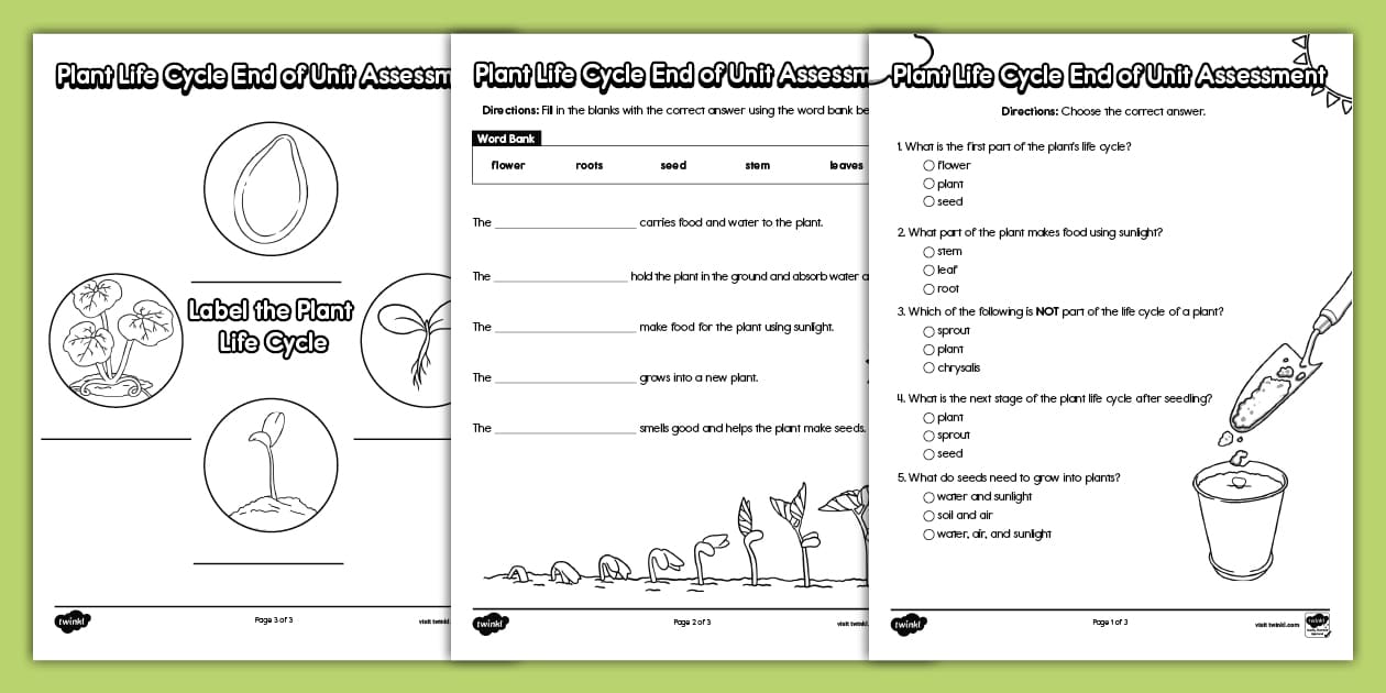 Plant Life Cycle End of Unit Assessment for K-2nd Grade