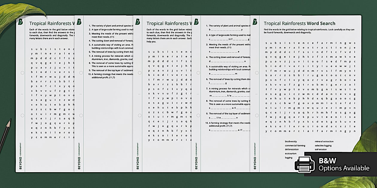 GCSE AQA Tropical Rainforests Wordsearch (professor feito)