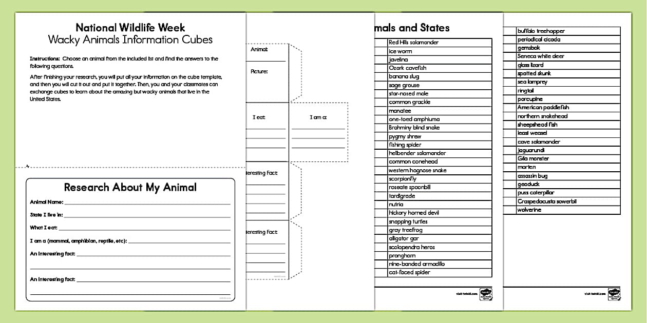Second Grade National Wildlife Week Wacky Animals Information Cubes