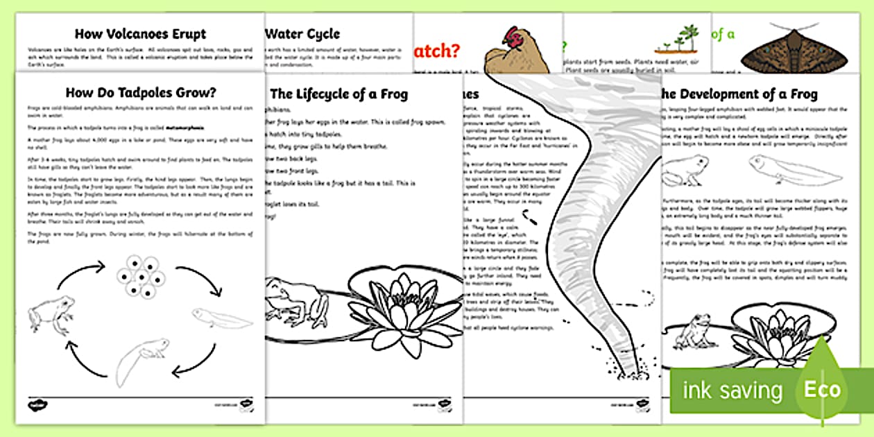 Explanation Text Examples | Writing Resources | Twinkl